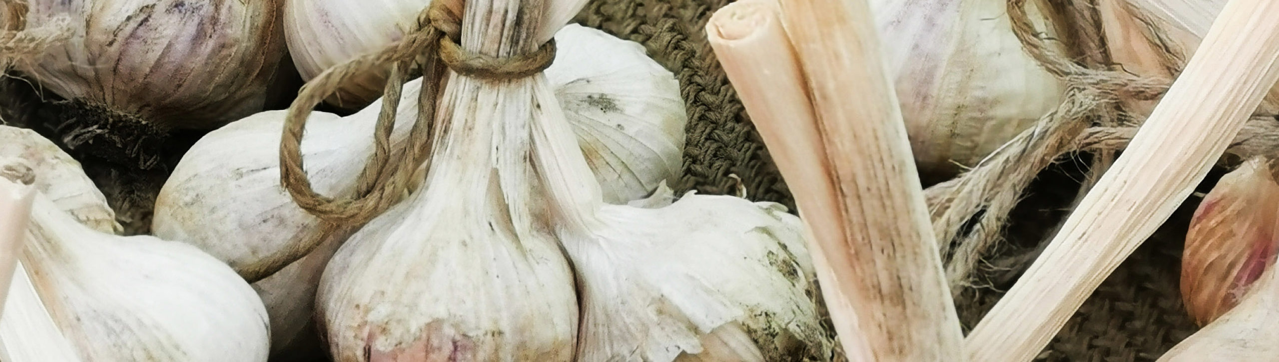 Home - Nelson Market