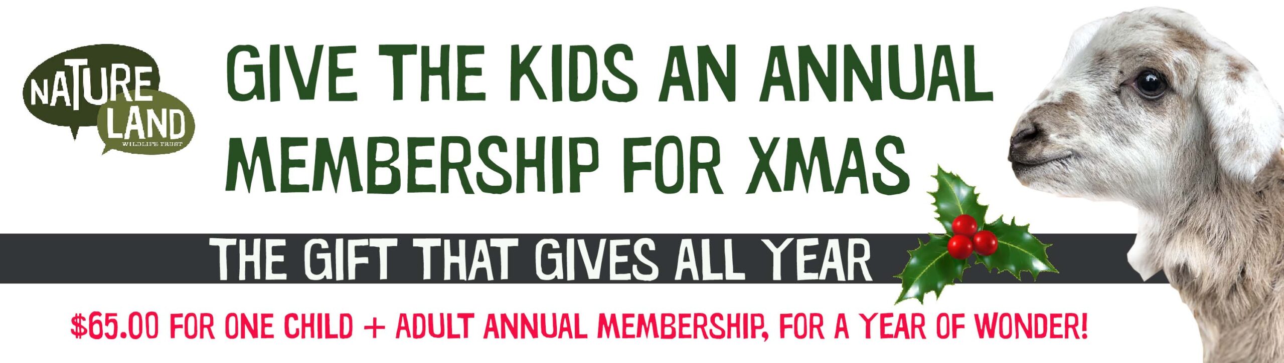 Home - Nelson Market