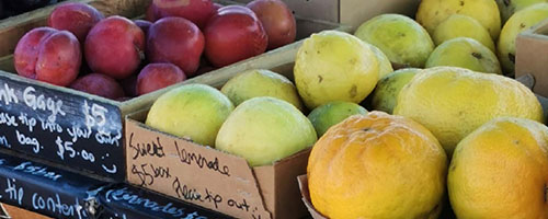 Home - Nelson Market