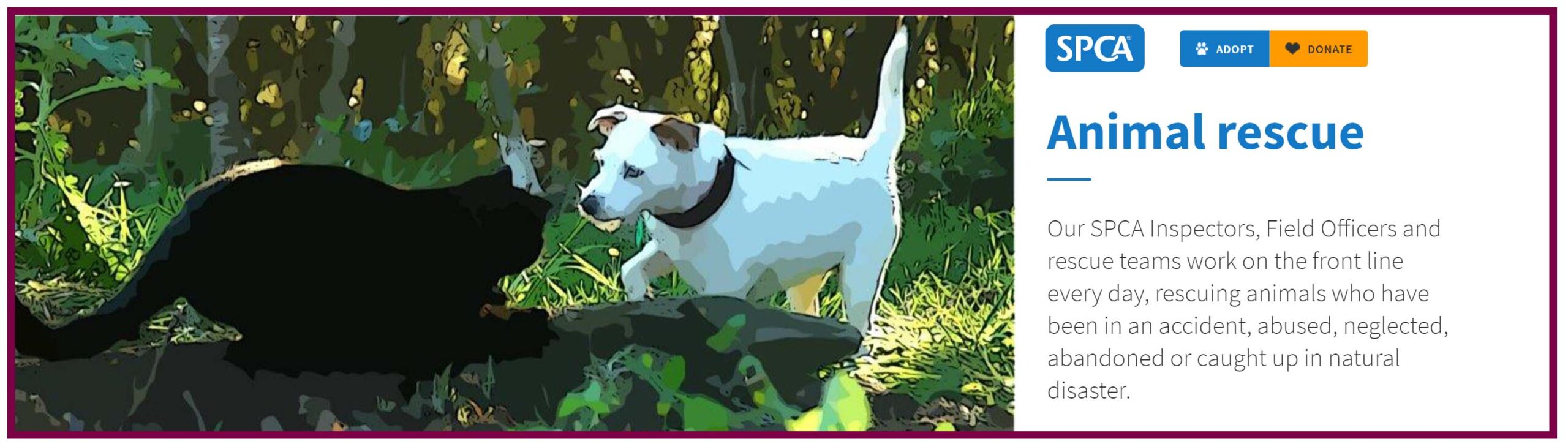 Home - Nelson Market